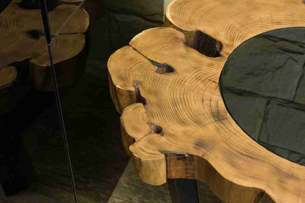 5 Important Things to Know About Live Edge Tables