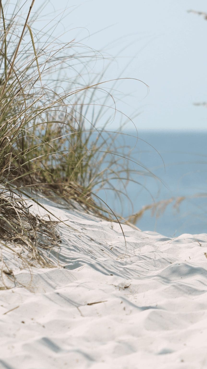 50 Minimalist Neutral Wallpaper for iPhone (Free HD Download)