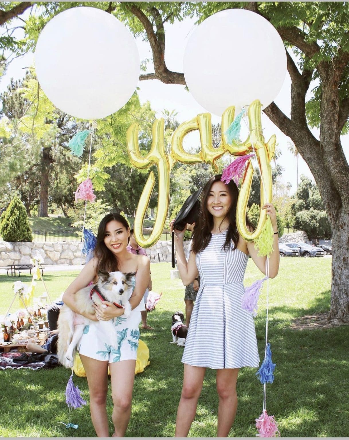 34 Best Backyard Graduation Party Ideas